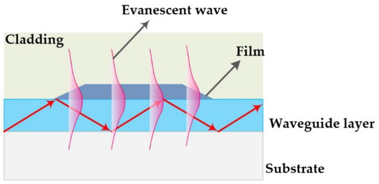 A New Strategy for Real-Time Humidity Detection: Polymer-Coated Optical ...