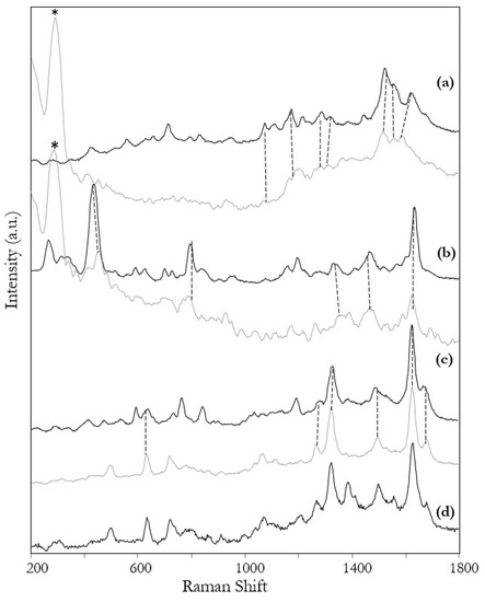 Surface-Enhanced Raman Spectroscopy for the Investigation of ...