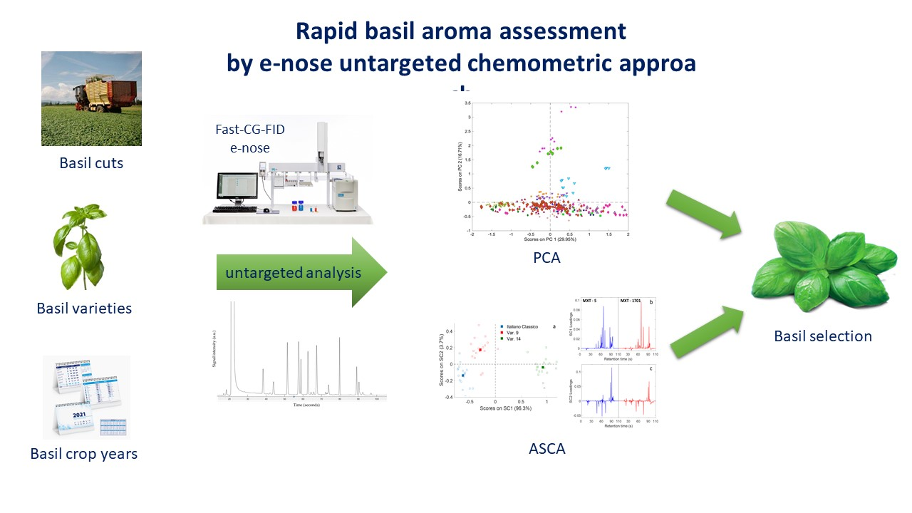 Chemosensors | Free Full-Text | Fast GC E-Nose and Chemometrics for the ...