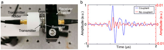 Couplants in Acoustic Biosensing Systems
