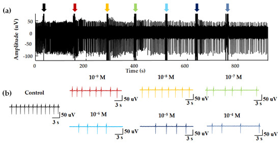An In Vitro HL-1 Cardiomyocyte-Based Olfactory Biosensor for Olfr558 ...