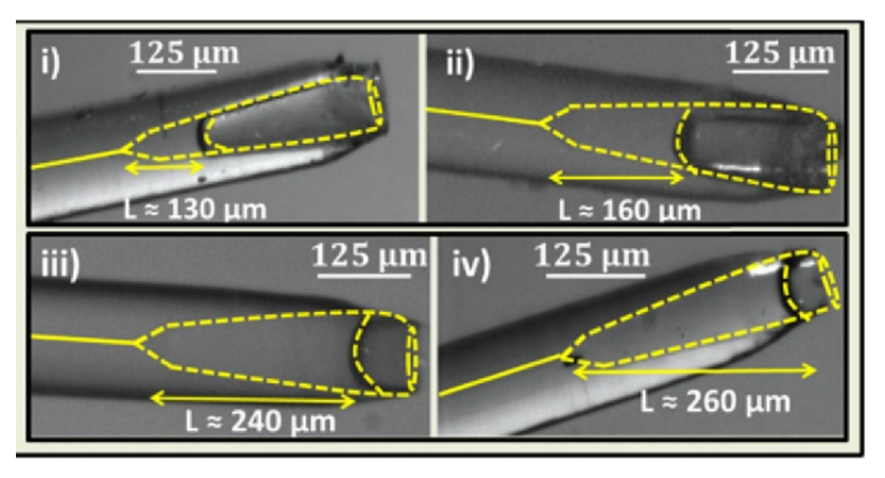 Temperature Sensors Based on Polymer Fiber Optic Interferometer