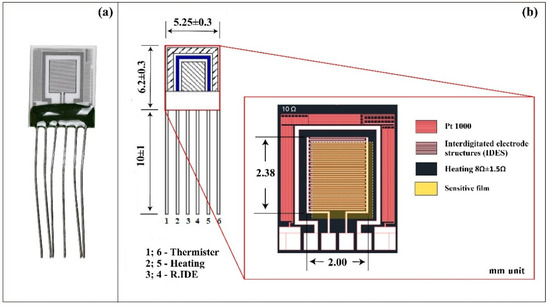 Gas Sensor Based on ZnO Nanostructured Film for the Detection of ...