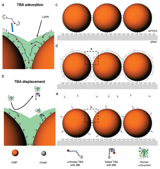 Aptamer-Based Sensors for Thrombin Detection Application