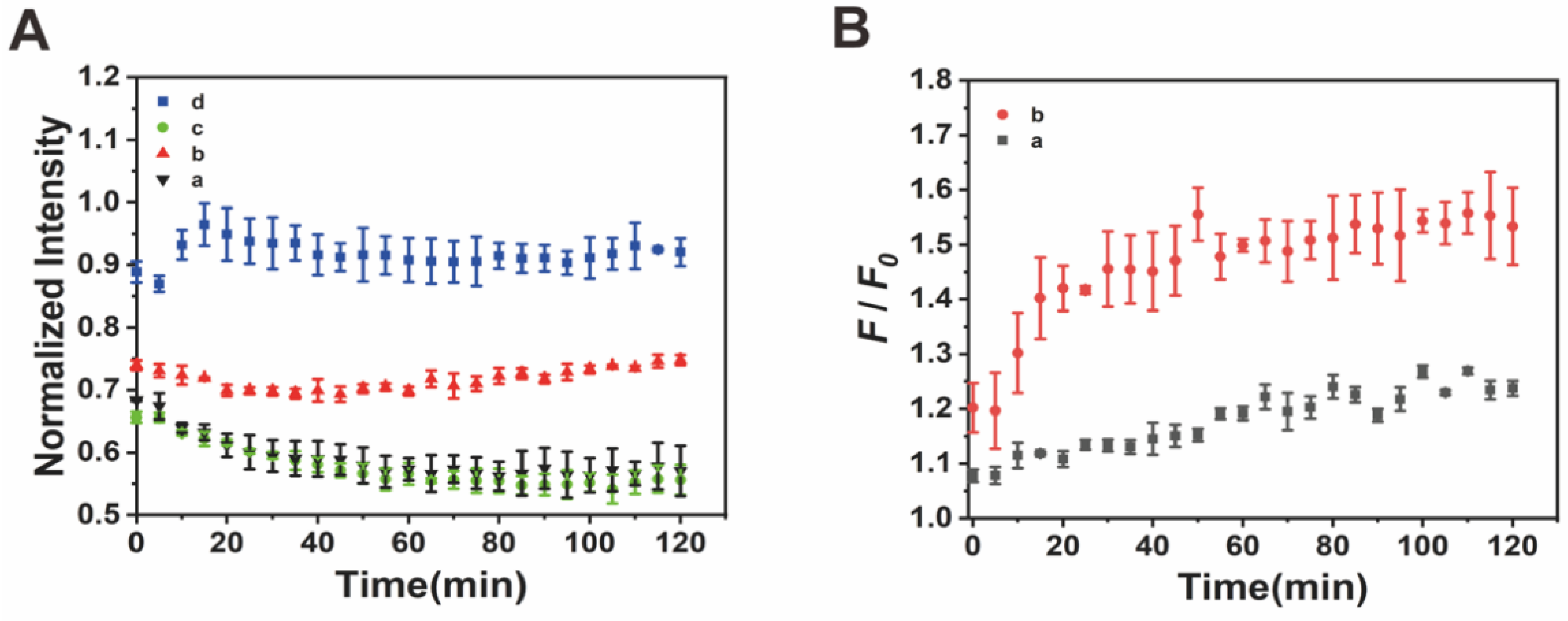 Programmable, Universal DNAzyme Amplifier Supporting Pancreatic Cancer ...