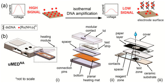 Chip-Based and Wearable Tools for Isothermal Amplification and Electrochemical Analysis of ...