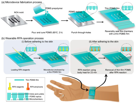 Chip-Based and Wearable Tools for Isothermal Amplification and Electrochemical Analysis of ...