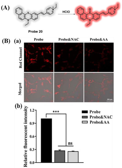 Recent Progress in Fluorescent Probes for Diabetes Visualization and ...