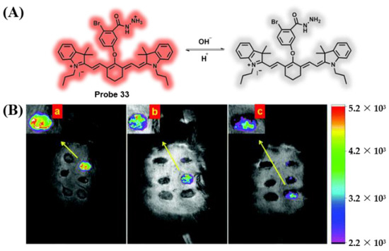 Recent Progress in Fluorescent Probes for Diabetes Visualization and ...