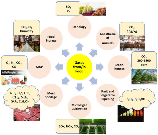 Gases in Food Production and Monitoring: Recent Advances in Target ...
