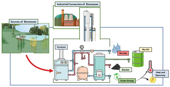 Chemosensors | Free Full-Text | Biochar: A Sustainable Alternative in the Development of ...