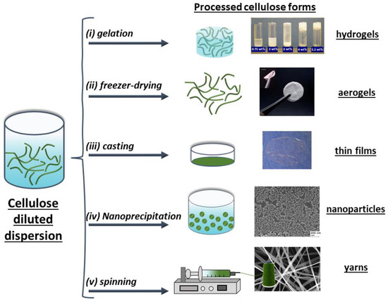 Chemosensors | Free Full-Text | Cellulose-Based Functional Materials ...