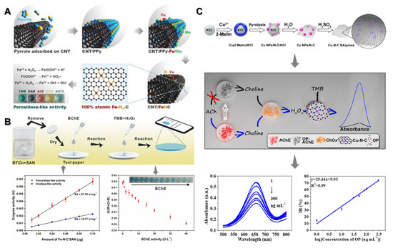 Rational Design of Nanozymes Enables Advanced Biochemical Sensing
