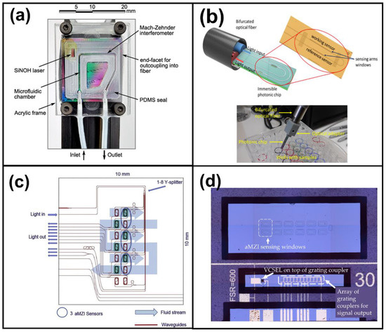 Current Trends in Photonic Biosensors: Advances towards Multiplexed ...
