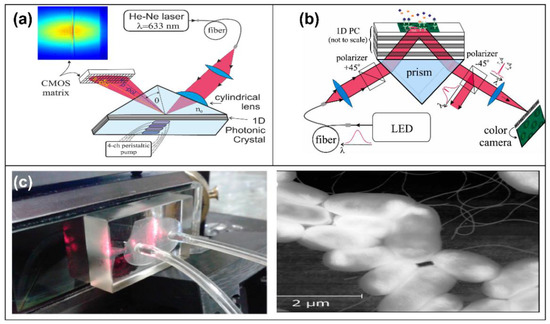 Current Trends in Photonic Biosensors: Advances towards Multiplexed ...