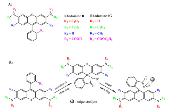 Recent Developments in Rhodamine-Based Chemosensors: A Review of the Years 2018–2022