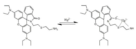 Recent Developments in Rhodamine-Based Chemosensors: A Review of the ...