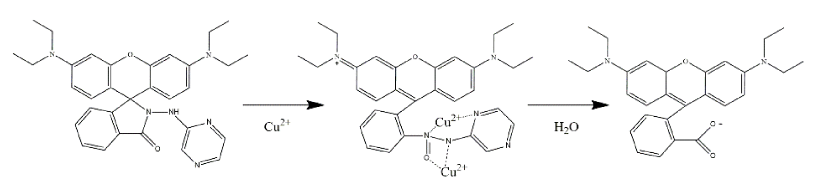Chemosensors Free Full Text Recent Developments In Rhodamine Based Chemosensors A Review Of