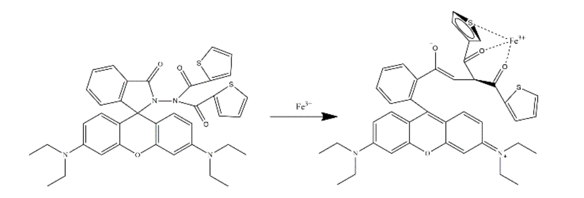Chemosensors Free Full Text Recent Developments In Rhodamine Based Chemosensors A Review Of