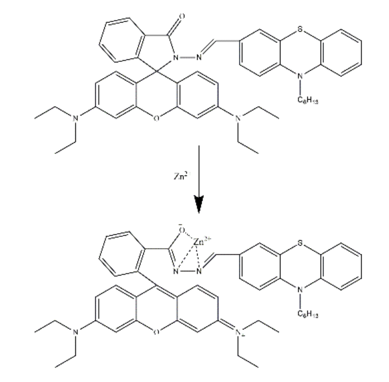 Chemosensors Free Full Text Recent Developments In Rhodamine Based Chemosensors A Review Of