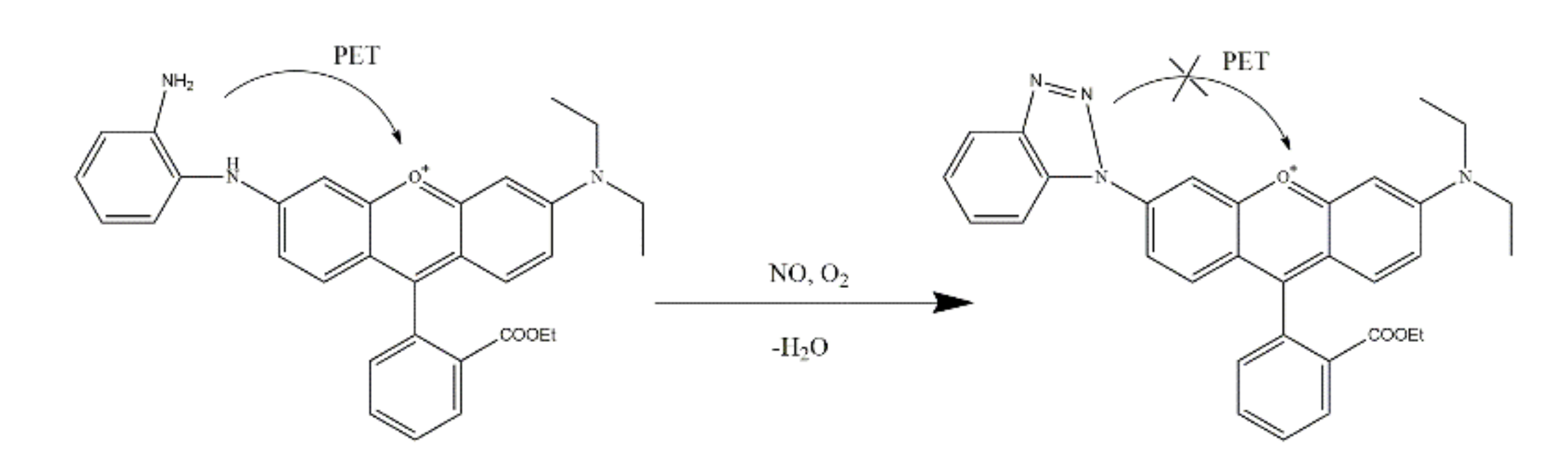 Chemosensors Free Full Text Recent Developments In Rhodamine Based Chemosensors A Review Of