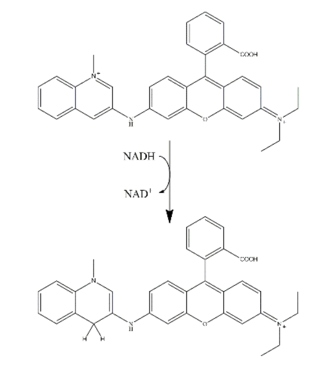 Chemosensors Free Full Text Recent Developments In Rhodamine Based Chemosensors A Review Of