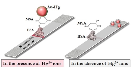 Chemosensors Free Full Text Low Tech Test For Mercury Detection A New Option For Water