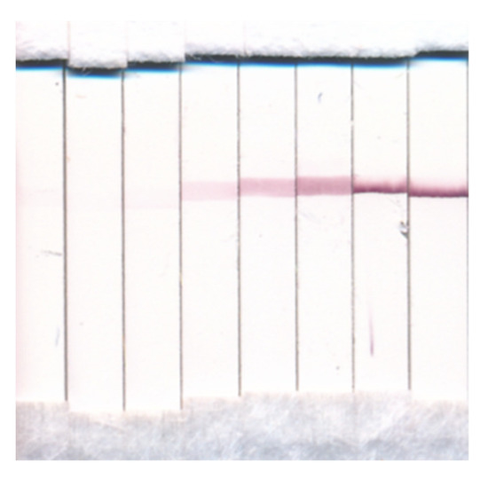 Low-Tech Test for Mercury Detection: A New Option for Water Quality ...