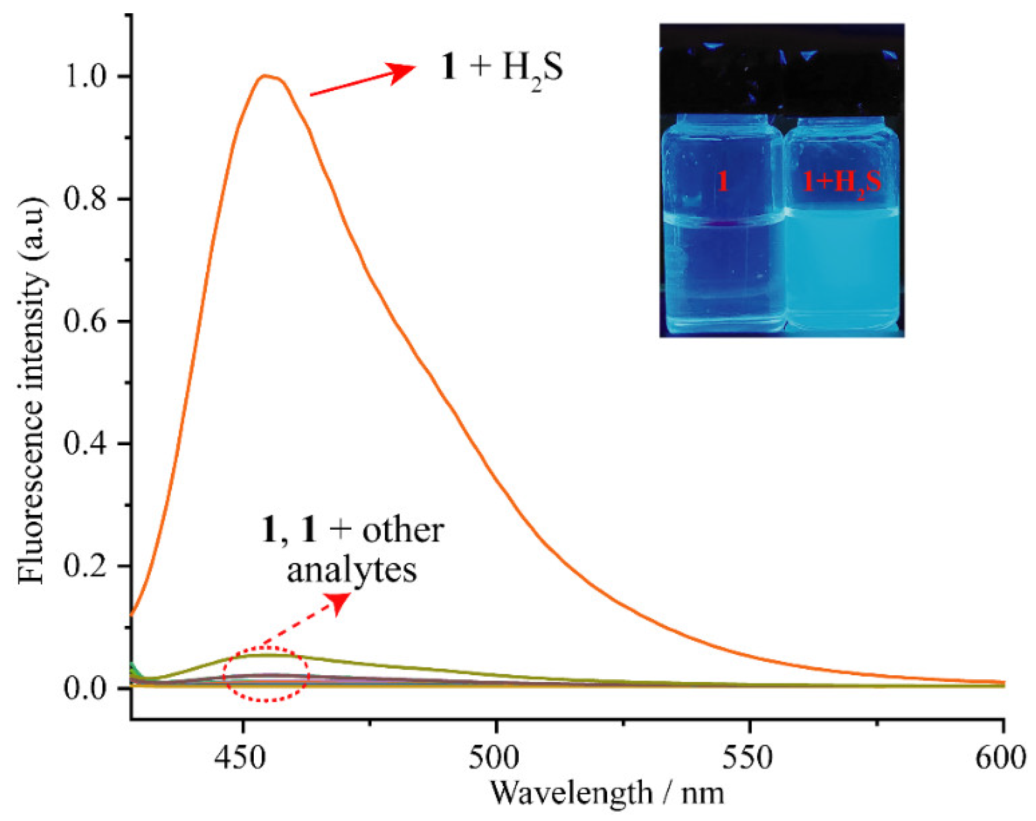 Umbelliferone-Based Fluorescent Probe for Selective Recognition of ...
