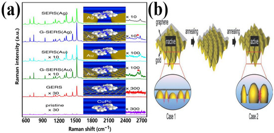 The Advanced Applications of 2D Materials in SERS
