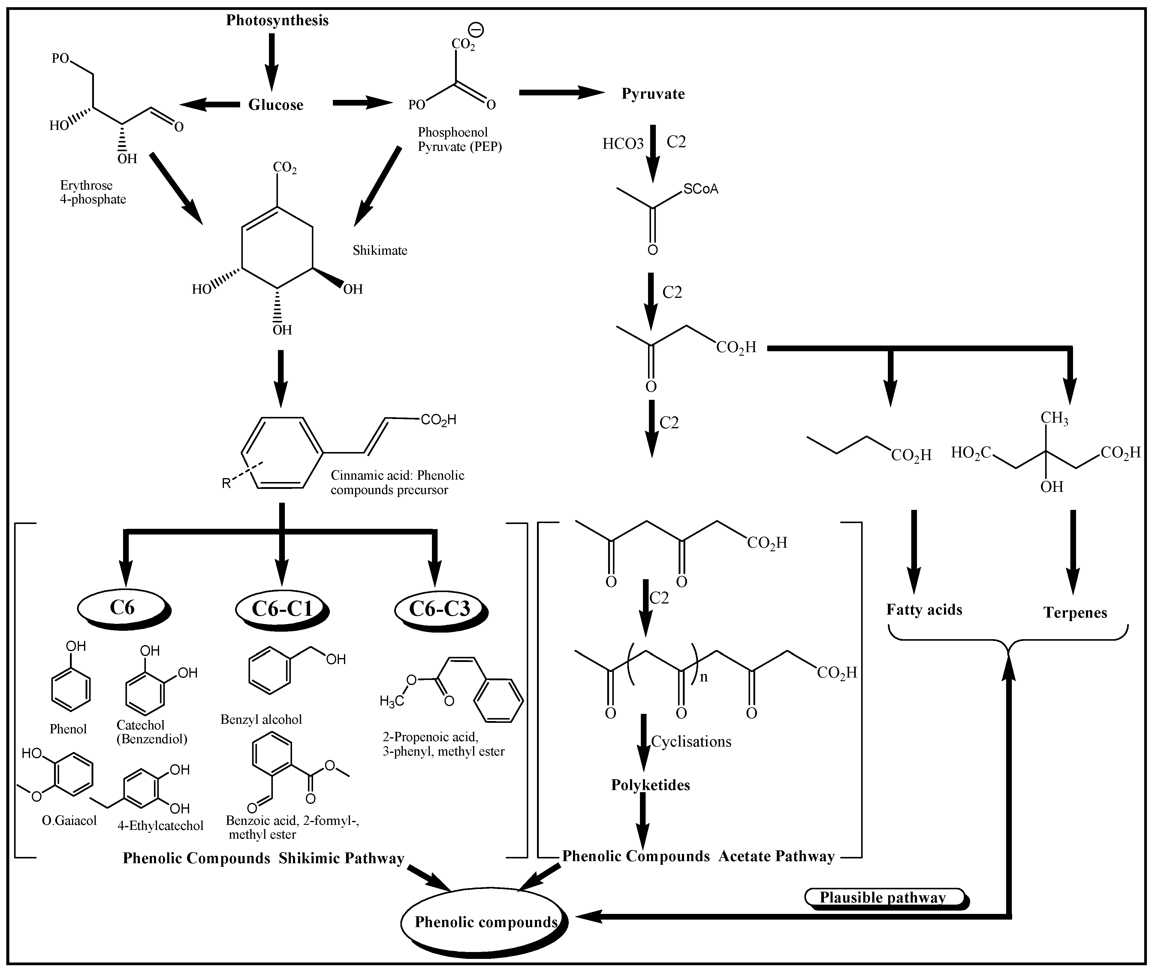 Chemosensors Free Full Text Screening Of Chemical Composition Antimicrobial And Antioxidant