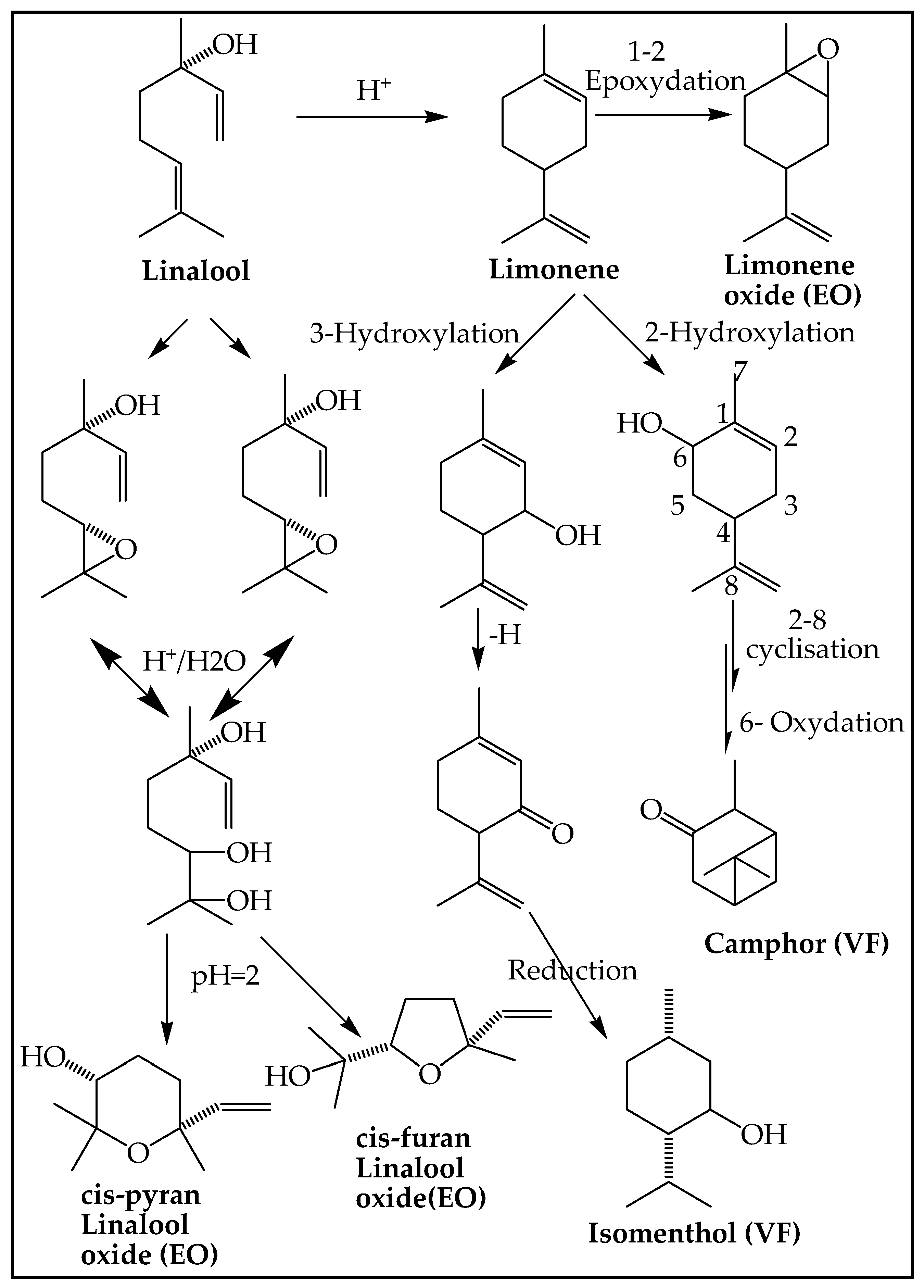 Screening of Chemical Composition, Antimicrobial and Antioxidant ...