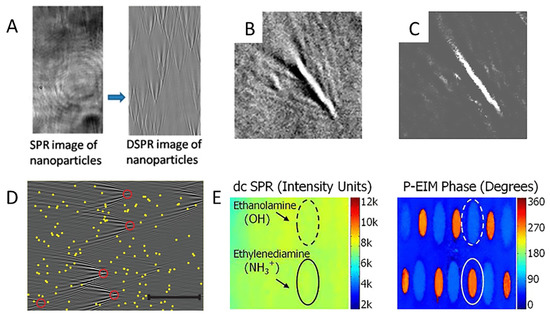 Recent Advances in Surface Plasmon Resonance Microscopy