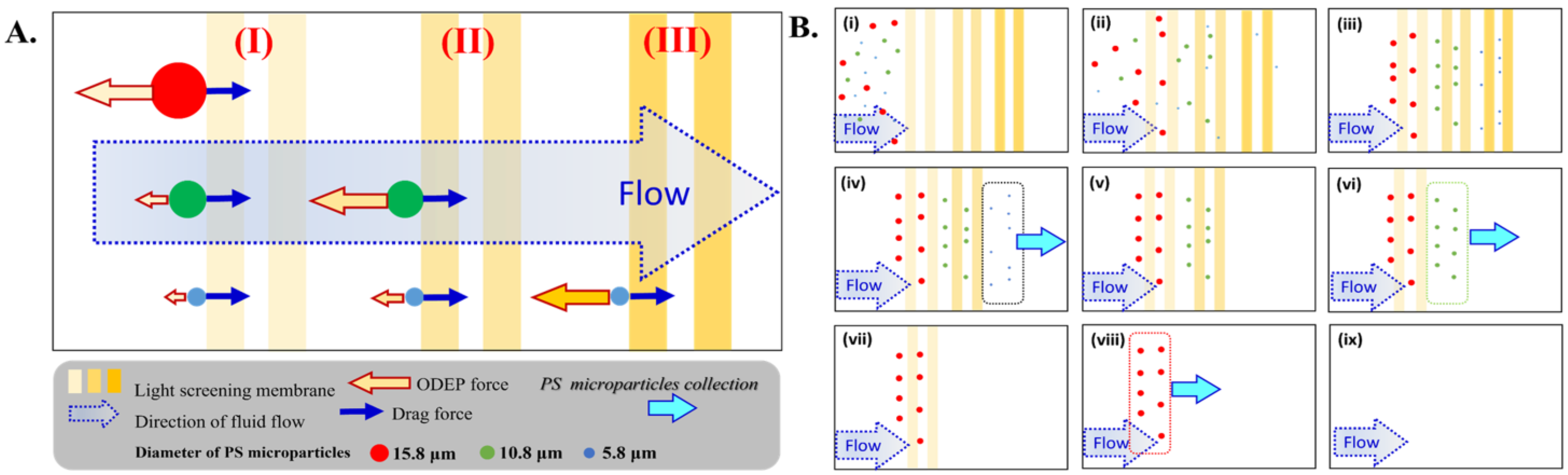 Chemosensors | Free Full-Text | Virtual Filter Membranes in a ...
