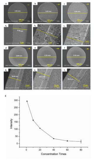 “Coffee Ring” Fabrication and Its Application in Aflatoxin Detection ...
