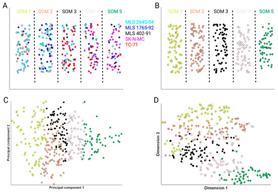 Identification of Distinct and Common Subpopulations of Myxoid ...