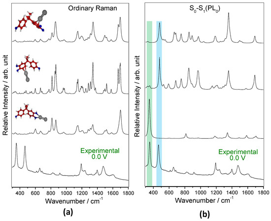 Sensing Bisphenol A by Means of Surface-Enhanced Raman Spectroscopy and ...