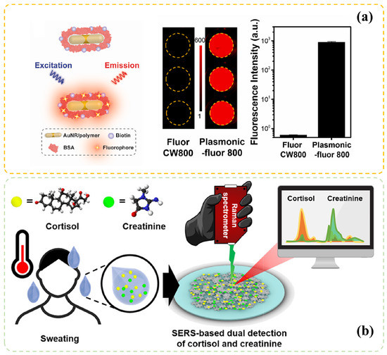 Recent Advance in Cortisol Immunosensing Technologies and Devices