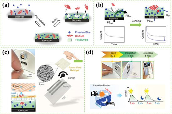 Recent Advance in Cortisol Immunosensing Technologies and Devices