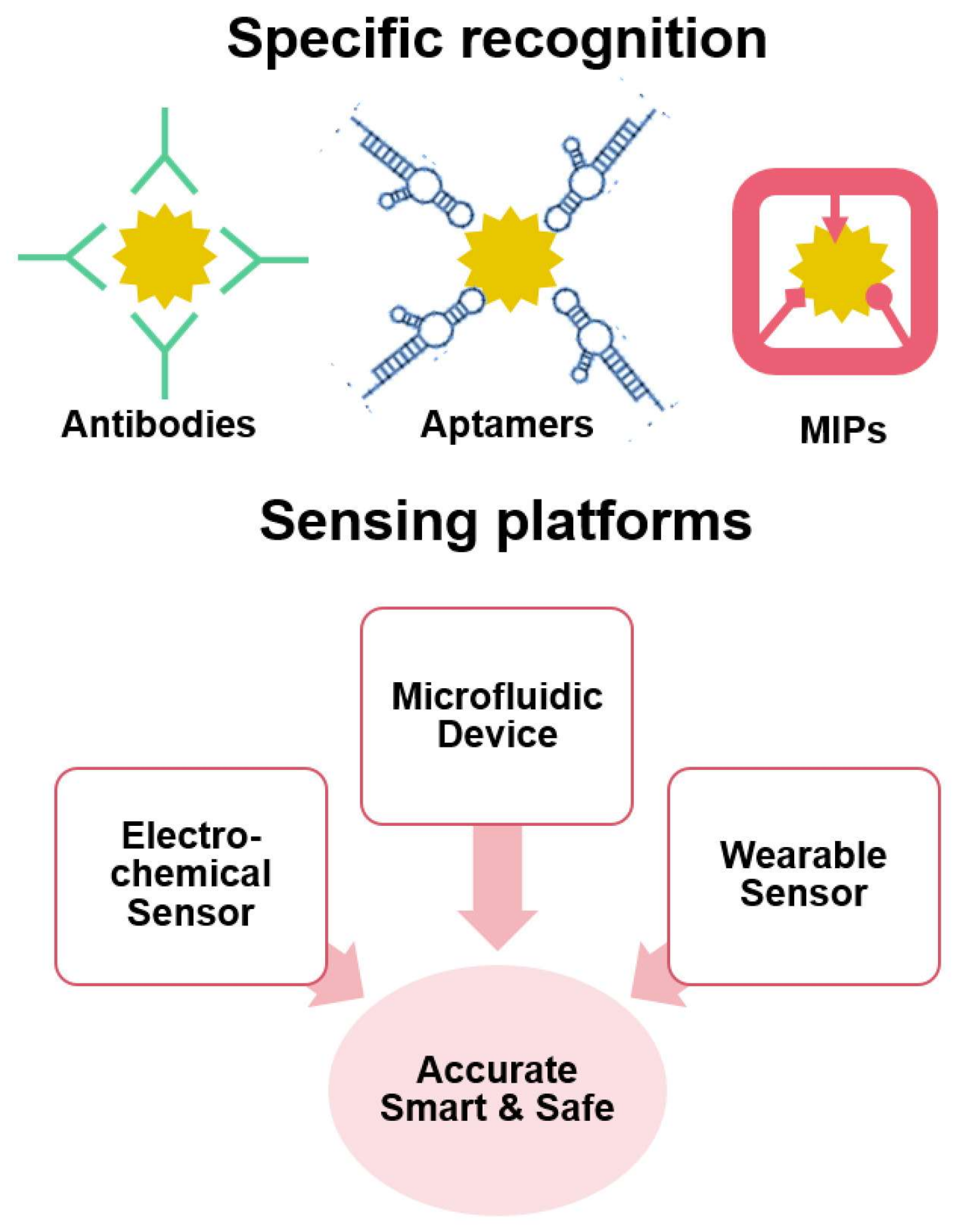 Chemosensors | Free Full-Text | Toward Dynamic Detection of Circulating ...