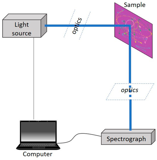 Chemosensors | Free Full-Text | Lighting Up the Heritage Sciences: The ...
