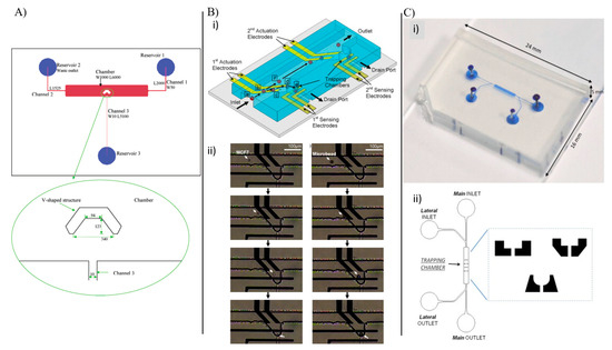 Chemosensors | Free Full-Text | Microfluidic Platforms for Single Cell Analysis: Applications in ...