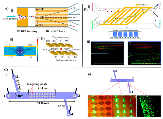 Chemosensors | Free Full-Text | Microfluidic Platforms for Single Cell Analysis: Applications in ...