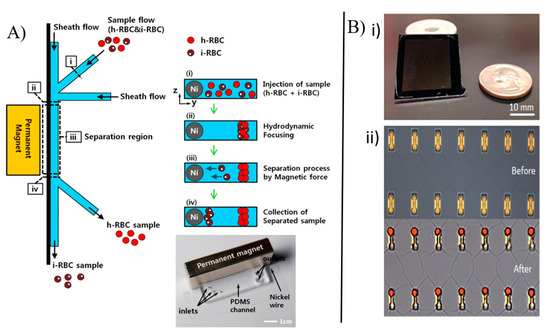Chemosensors | Free Full-Text | Microfluidic Platforms for Single Cell ...