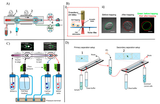 Chemosensors | Free Full-Text | Microfluidic Platforms for Single Cell ...
