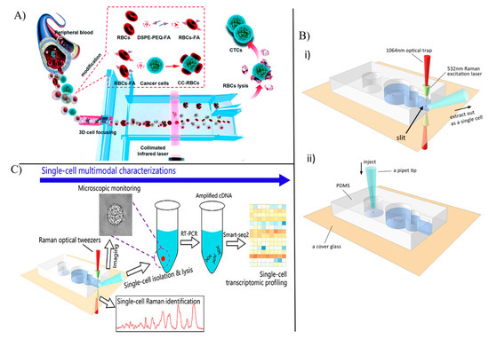 Chemosensors | Free Full-Text | Microfluidic Platforms for Single Cell Analysis: Applications in ...