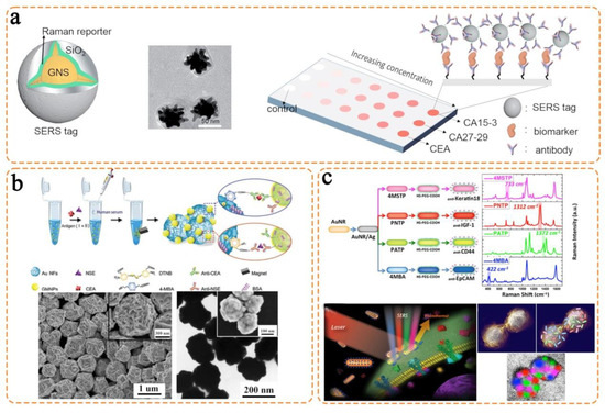 Engineering Rational SERS Nanotags for Parallel Detection of Multiple ...