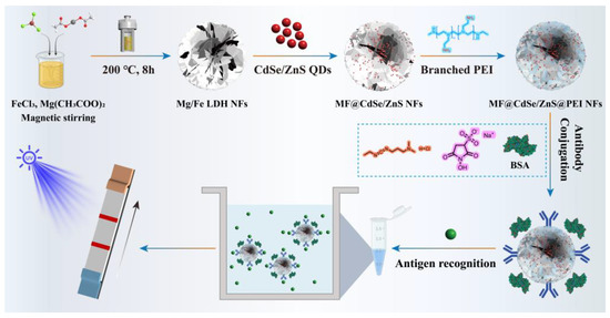 A Sensitive Immunochromatographic Test Strip Based on Hydrophobic ...