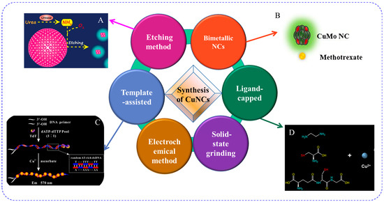 Chemosensors | Free Full-Text | Rational Design Copper Nanocluster ...