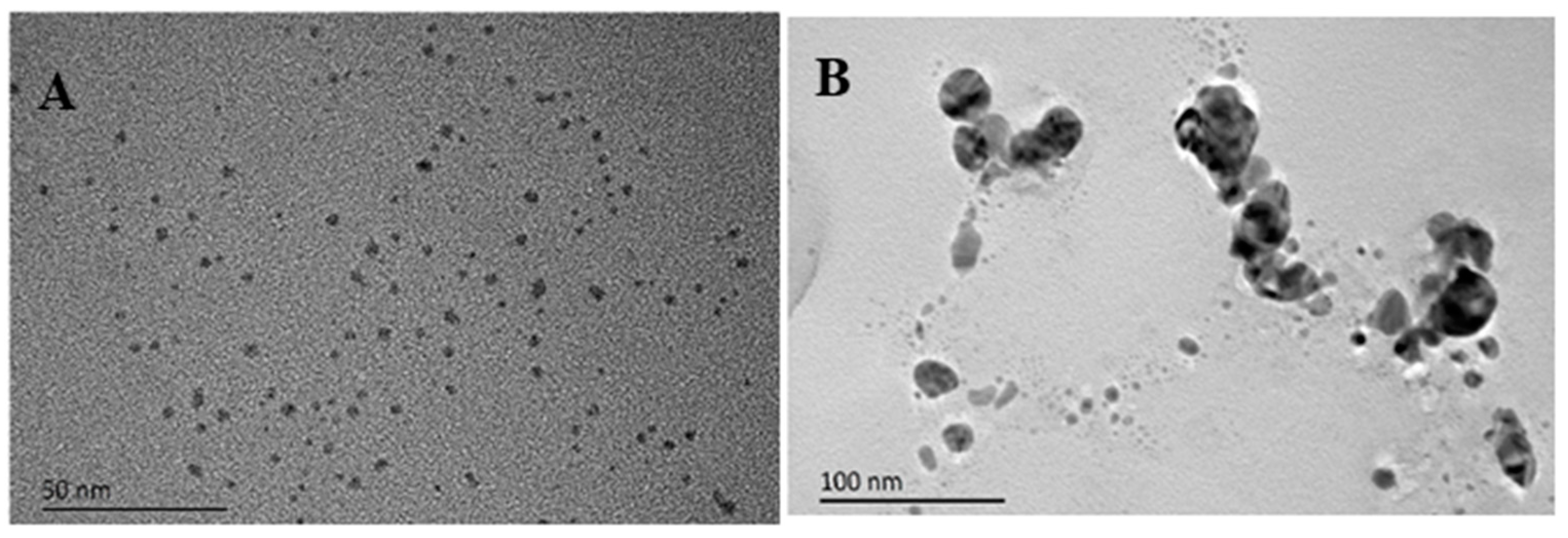 Chemosensors | Free Full-Text | Rational Design Copper Nanocluster-Based Fluorescent Sensors ...